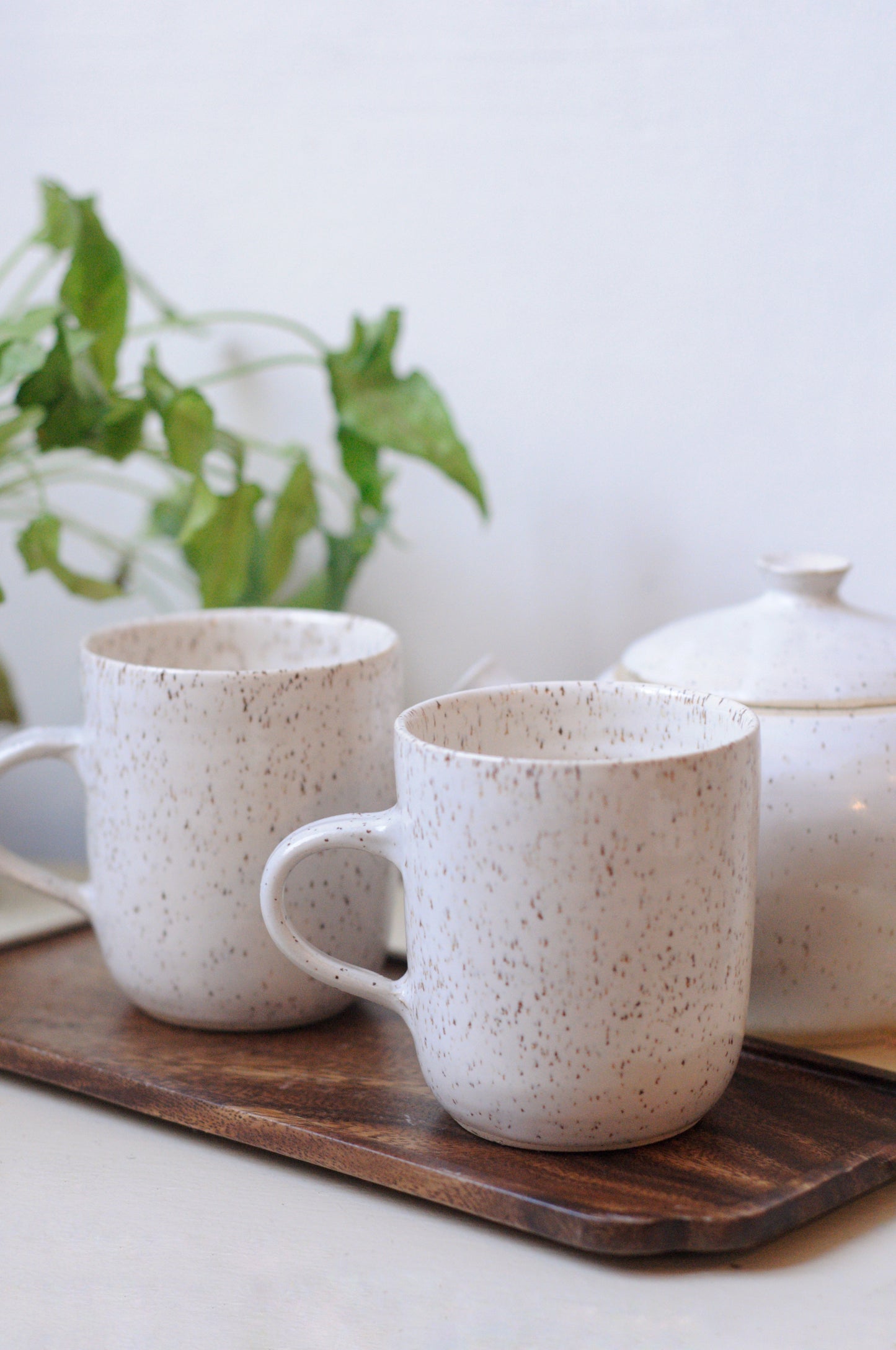 Ocha Tea pot お茶